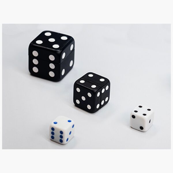 BoBo Dice Pro | Smart Dice for Cognitive and Effective Rehab